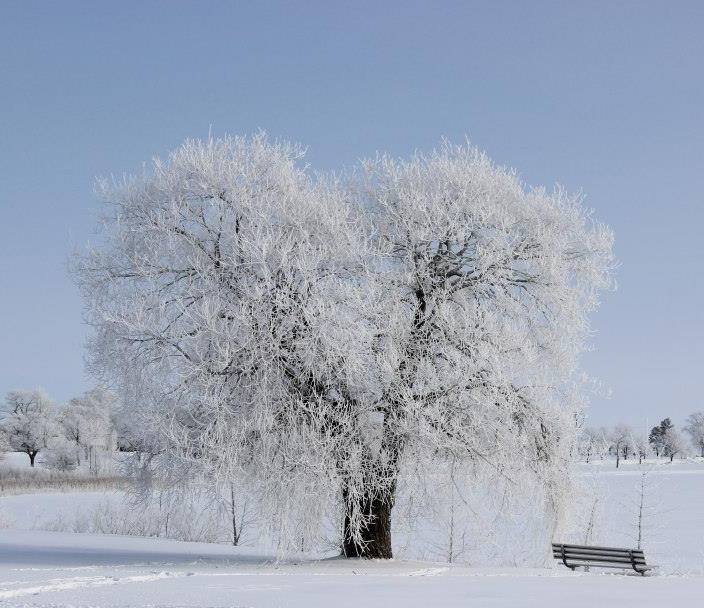 Pictures of Escanaba | Escanaba MI